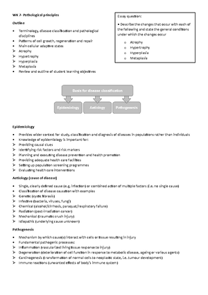 Past Paper Exam - ULSTER UNIVERSITY UNIVERSITY EXAMINATIONS 2018 ...