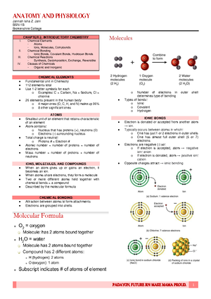 Prelim Digestion - Eswww - Pathophysiology & Pharmacology - Studocu