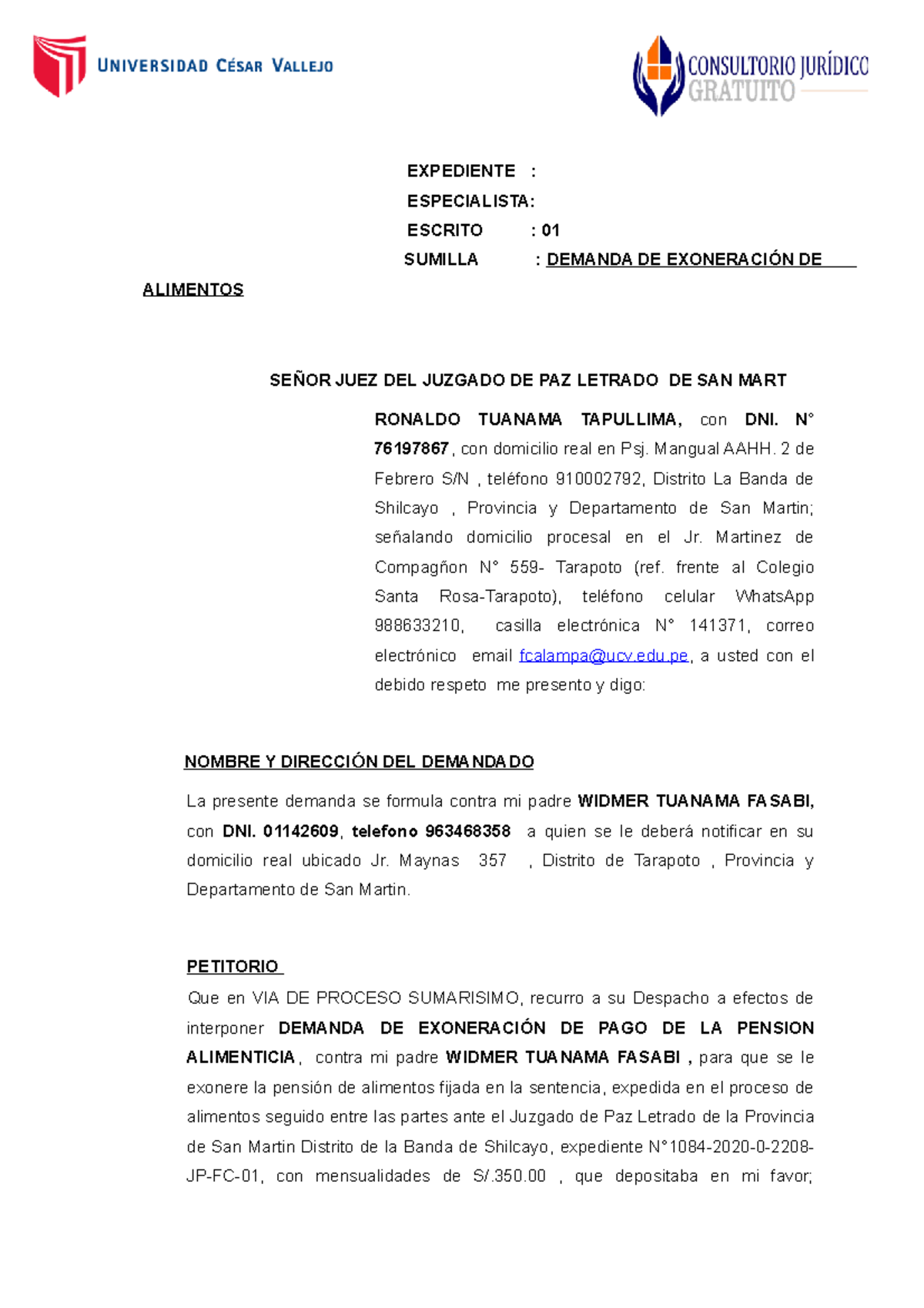 Exoneracion DE Alimentos SR Widmer Escrito Ultimo - EXPEDIENTE ...