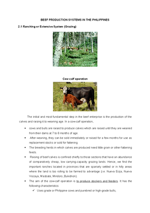 Breeds OF Swine IN THE Philippines - BREEDS OF SWINE IN THE PHILIPPINES ...