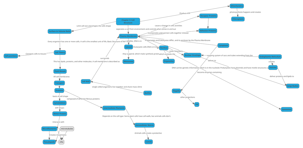 Map 3 - Concept map - seperates a cell from environment and controls ...
