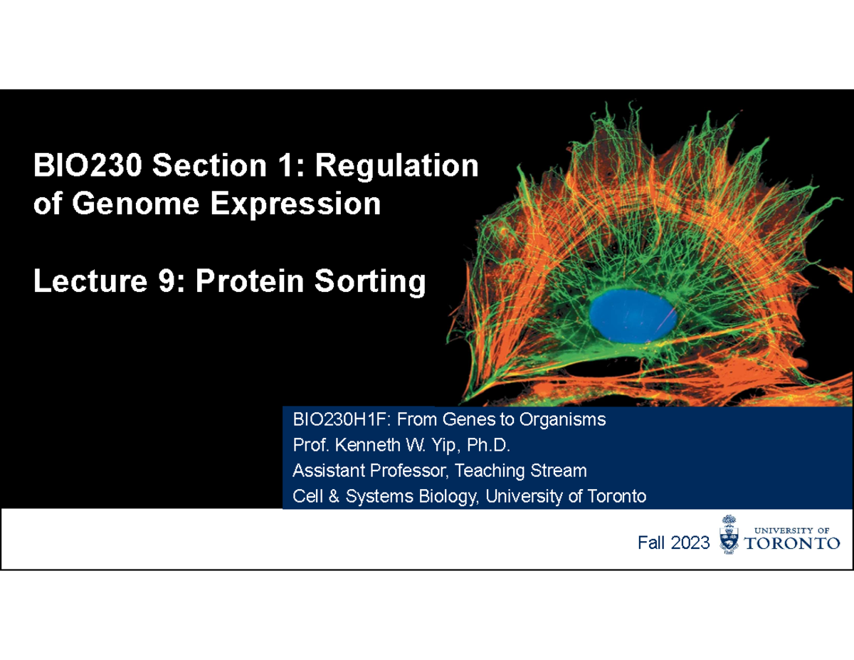 S1L9-1 - lecture practice materials lab notes - BIO230H1F: From Genes ...