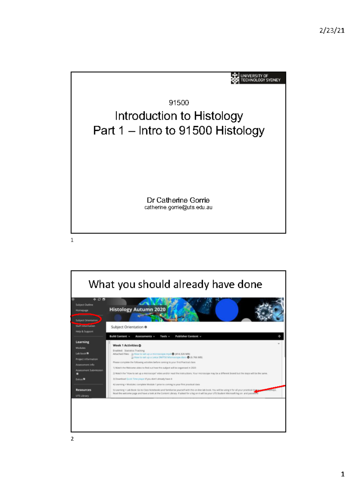 Introduction to Histology - 2/23/ 1 Introduction to Histology Part 1 ...
