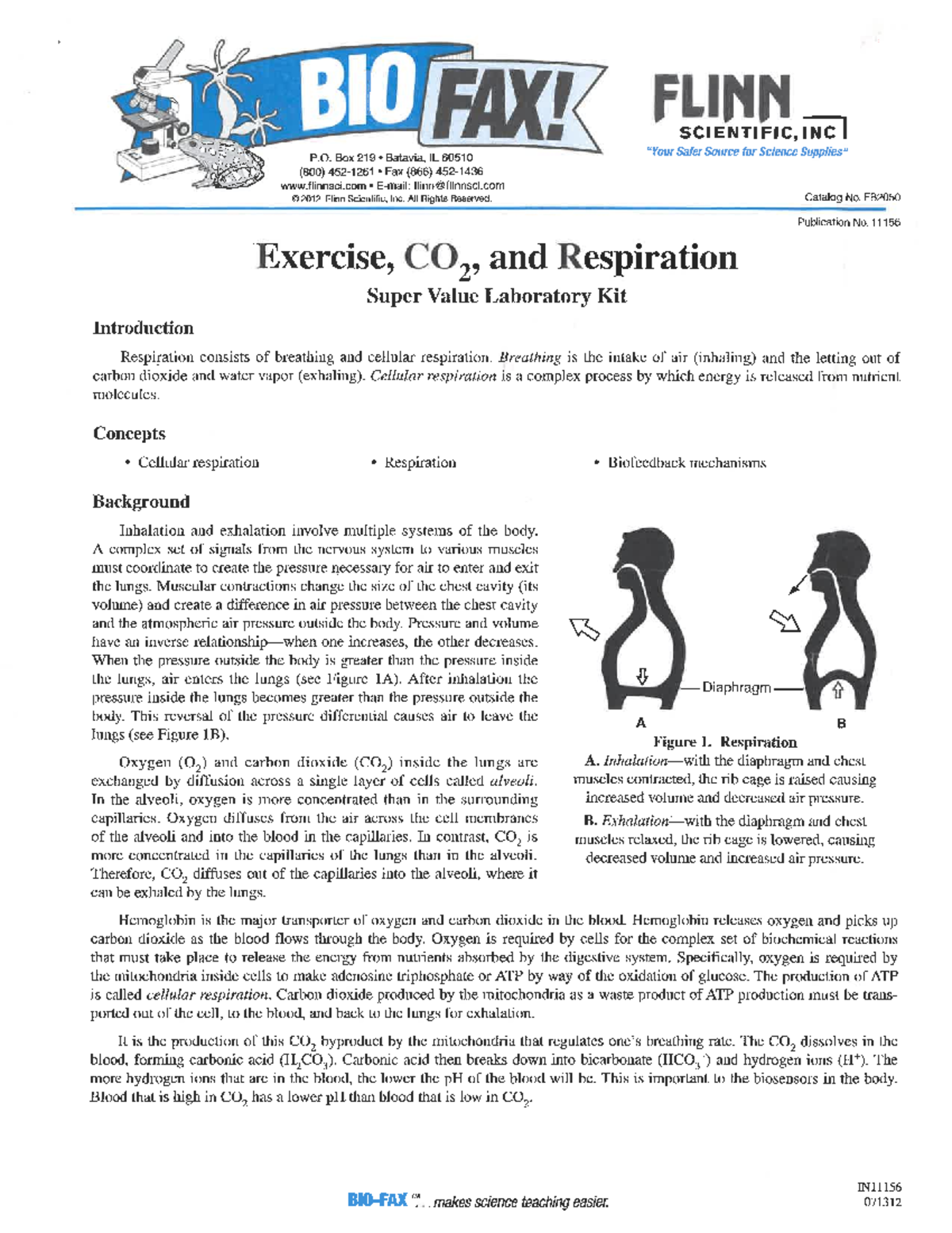 Exercise and Respiration Lab Handout - Studocu