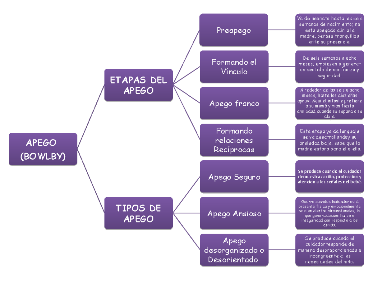 Bowlby Psicologia - APEGO (BOWLBY) APEGO (BOWLBY) ETAPAS DEL APEGO ETAPAS DEL APEGO Preapego ...