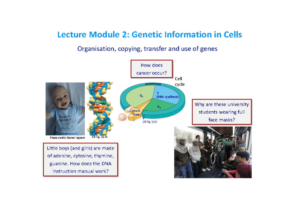 L10 HO DNA to genomes - Lecture Module 2: Genetic Information in Cells ...