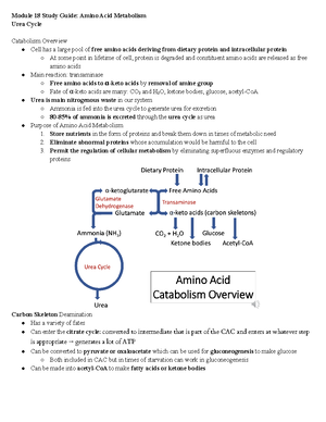 Module 16 Study Guide - Module 16: Glycogen Metabolism Glucose in the ...