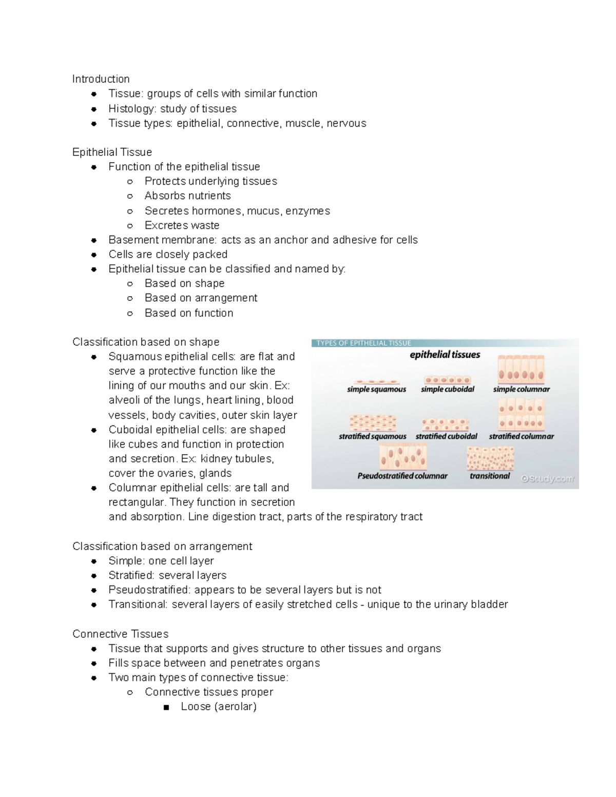 Chapter 5 - These notes cover the different tissue types - Introduction ...