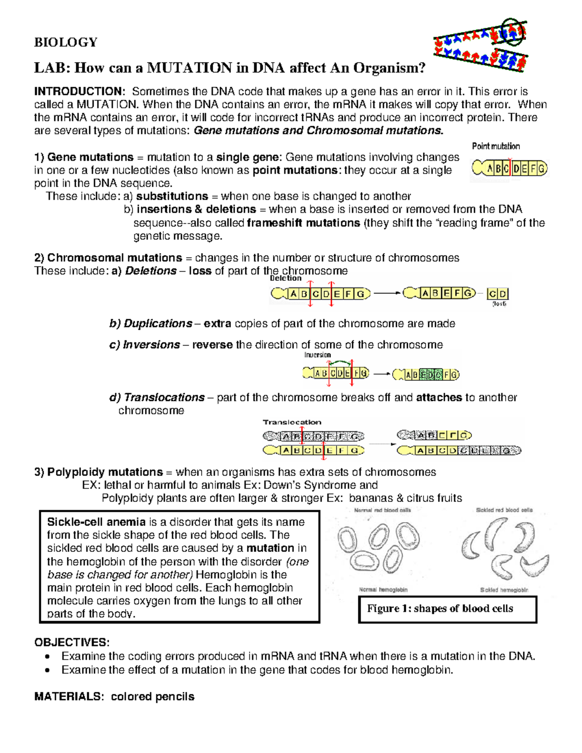Kami Export - Michael Kilcoin - mutations info and lab sheet - Sickle ...