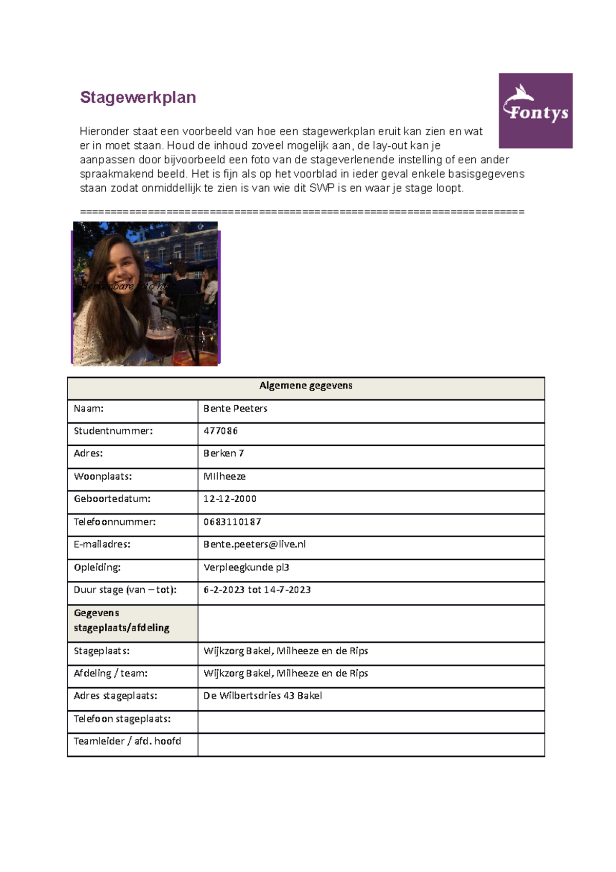 Stagewerkplan Bente Thuizorg Bakel - Stagewerkplan Hieronder staat een ...