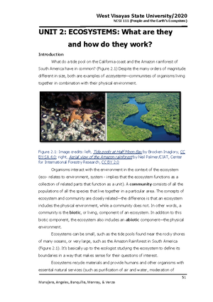 Budget Message of the Punong Barangay - Province of Iloilo Municipality ...