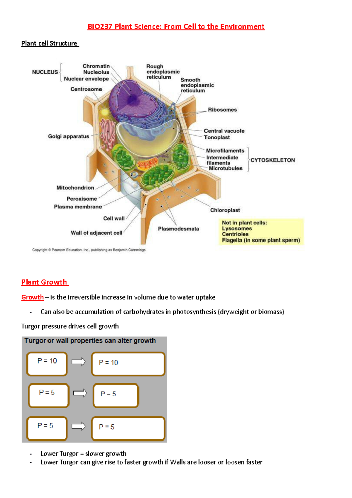 BIO237 Plant Science - Revision Notes for Whole Module - BIO237 Plant ...