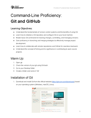 Practical - IP Headers - Documentation Template.docx - Data Communications Laboratory IP Headers ...