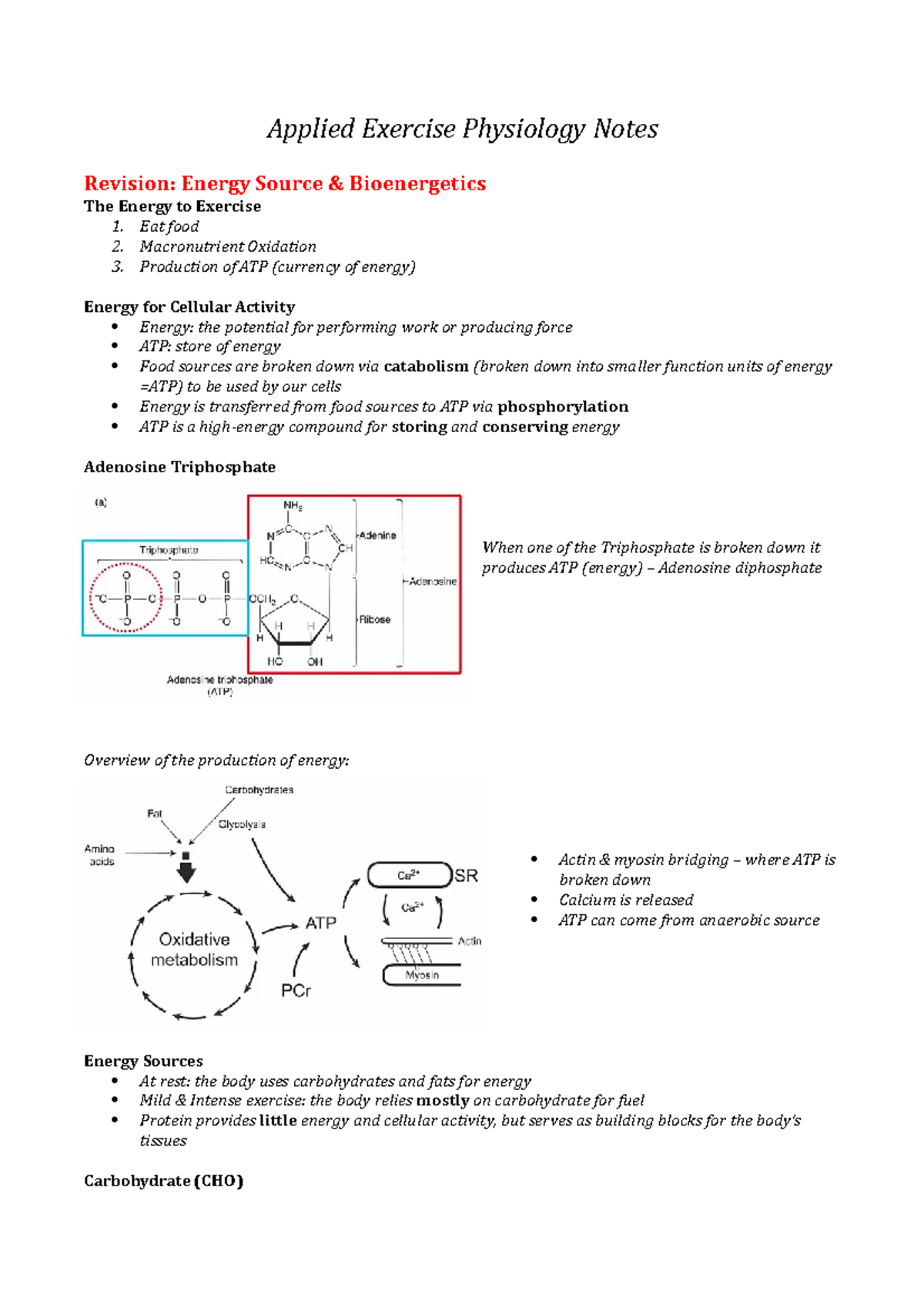Applied-Exercise-Physiology - Applied Exercise Physiology Notes ...