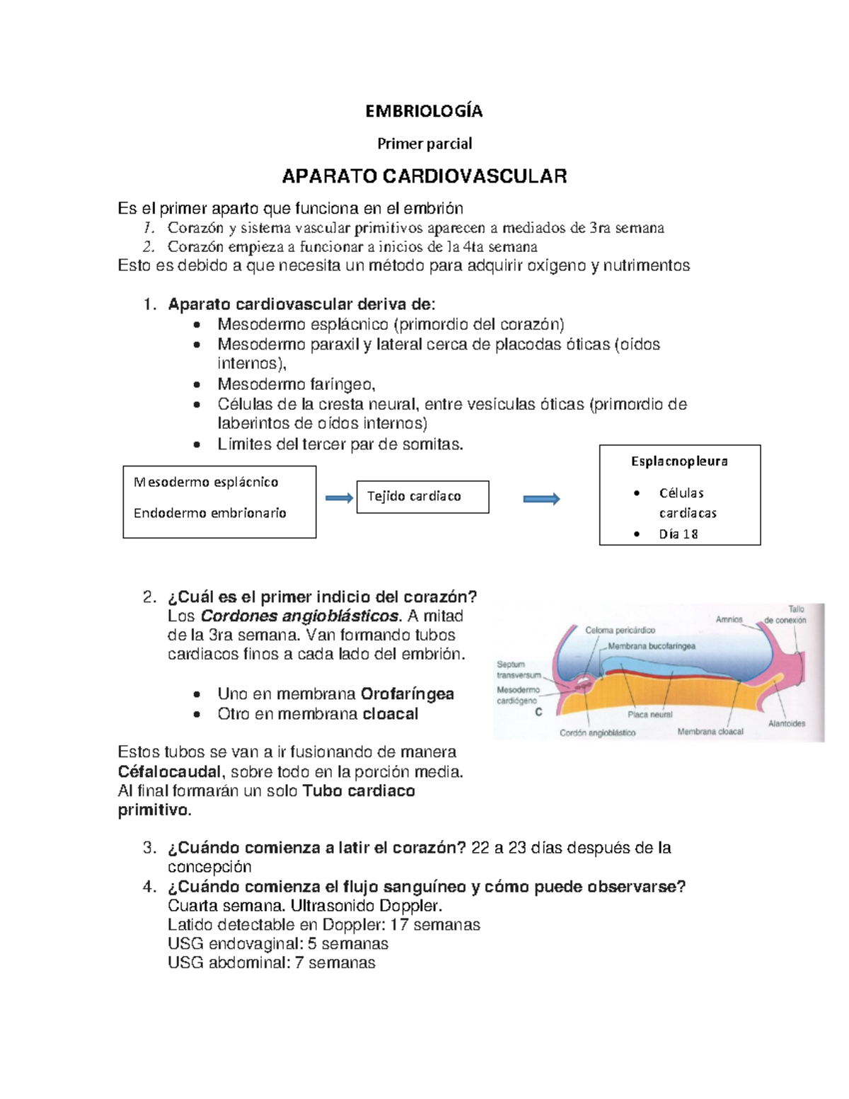Embriología Sistema cardiovascular - Warning: TT: undefined function: 32 EMBRIOLOGÍA Primer ...