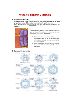 Tema 8. La matriz citoplasmática. - La matriz Es una masa ...