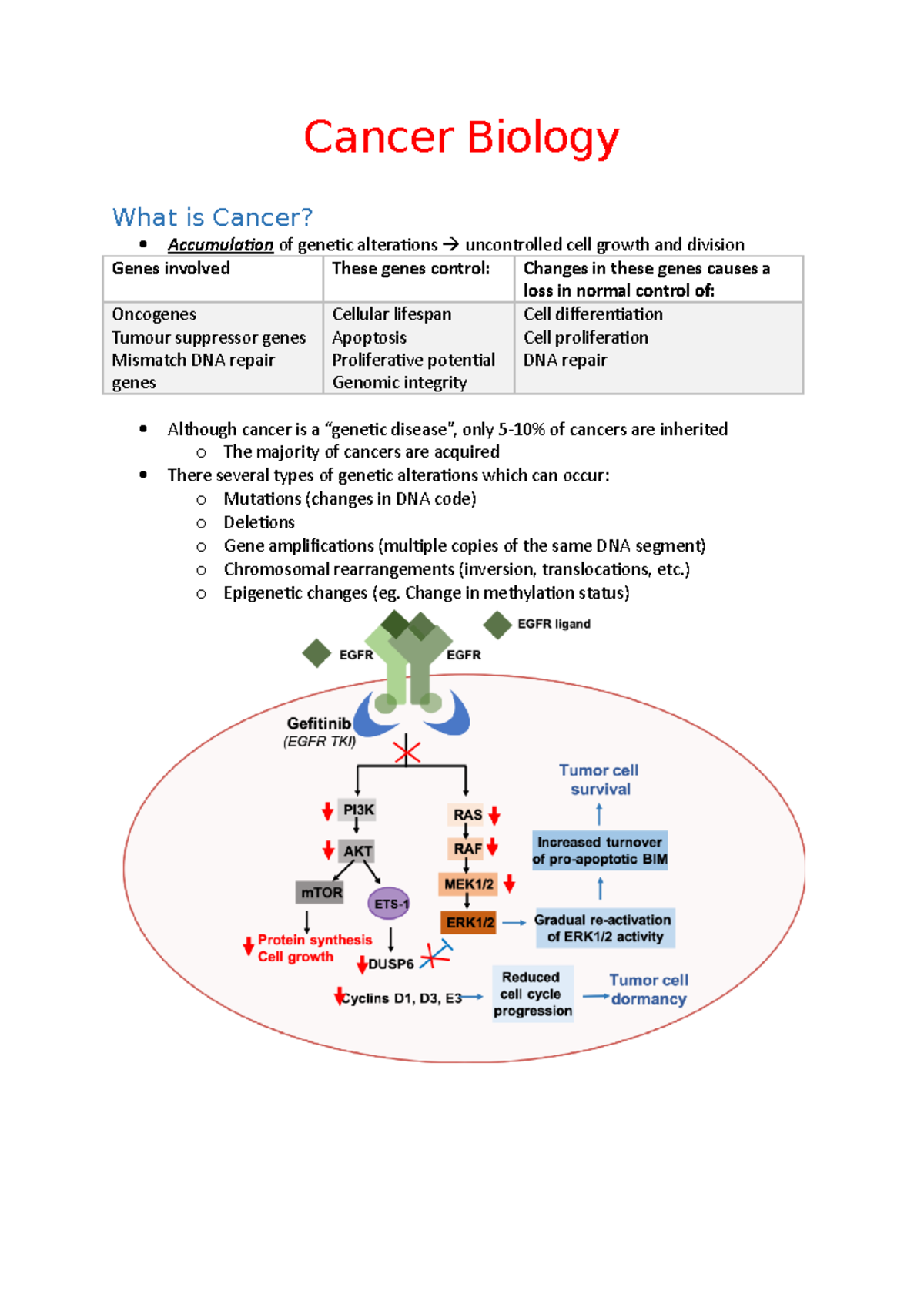 Cancer Biology - Cancer Biology What is Cancer? Accumulation of genetic ...