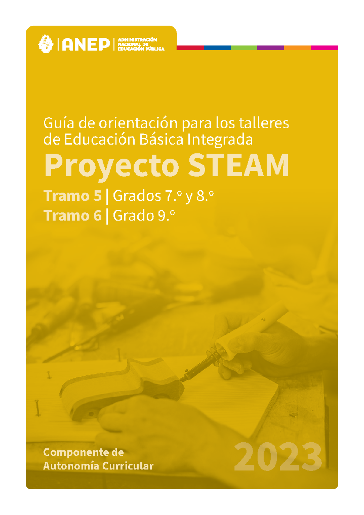 Proyecto Steam - Tramos 5 y 6 final - Guía de orientación para los ...