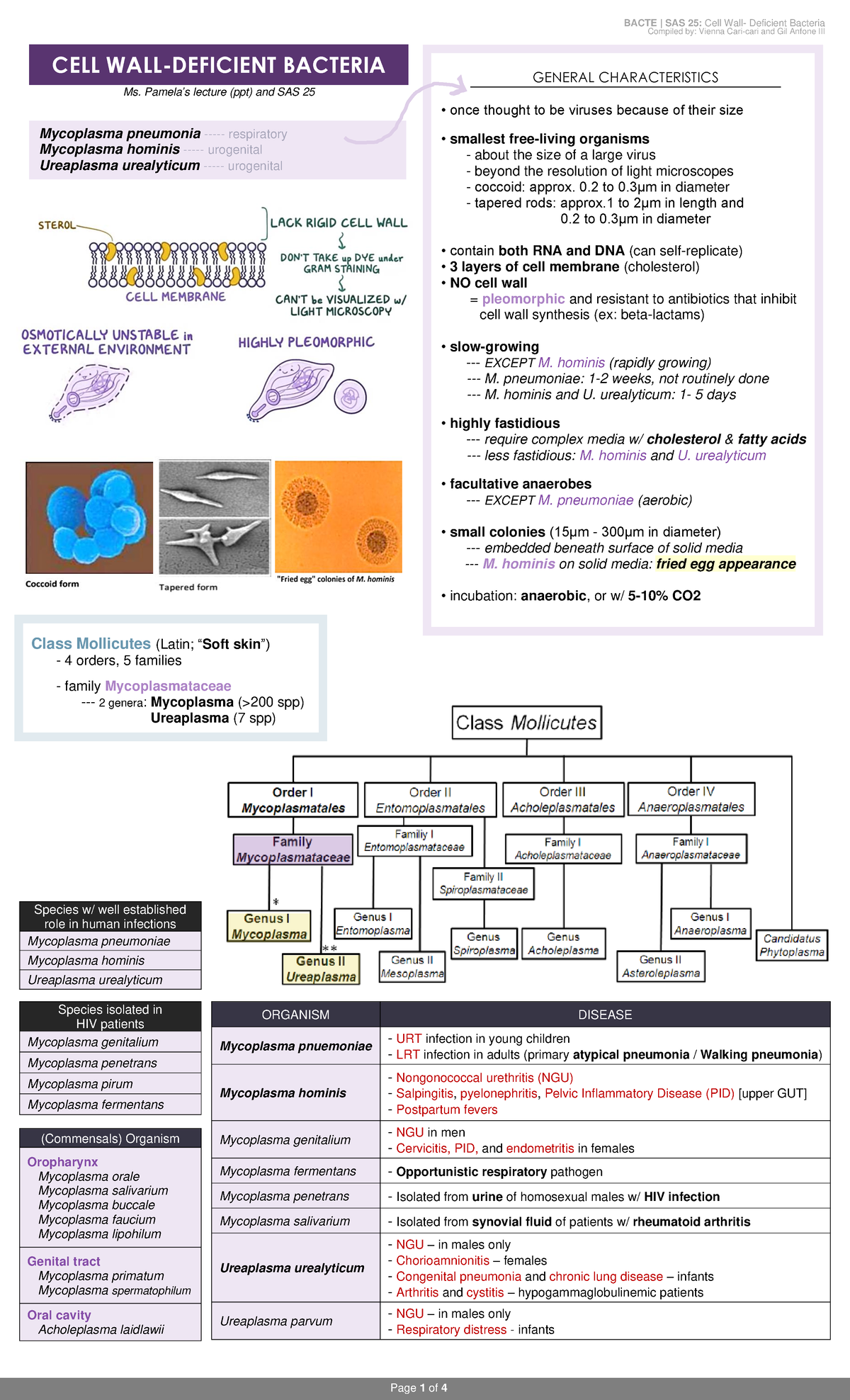 Bacteriology - Cell Wall Deficient Bacteria (Mycoplasma and Ureaplasma ...