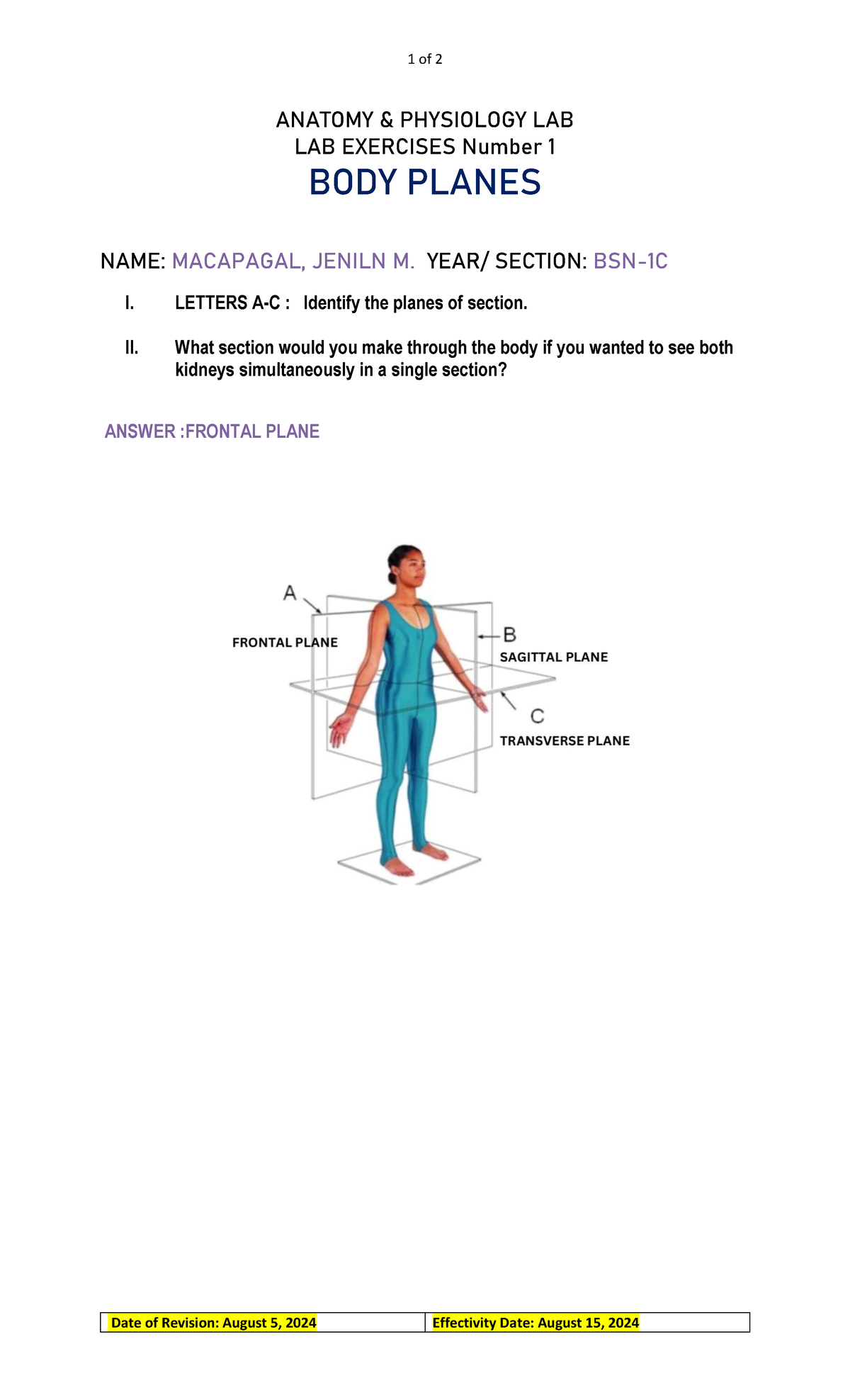 Lab-Act-1-BODY- Planes- Activity (1) Macapagal - BSN Nursing - 1 of 2 ...