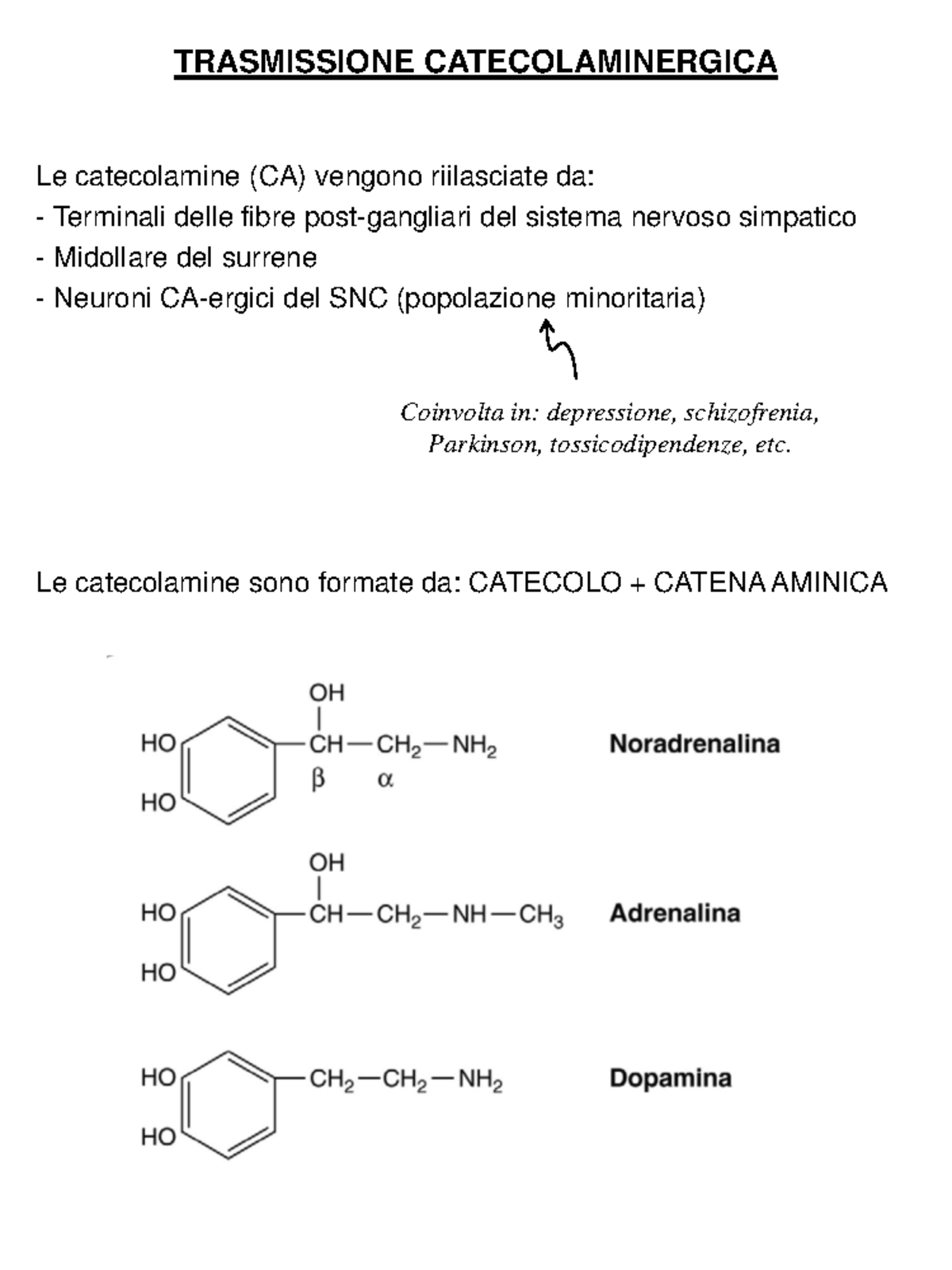 2022 14 Trasmissione Catecolaminergica - TRASMISSIONE CATECOLAMINERGICA ...