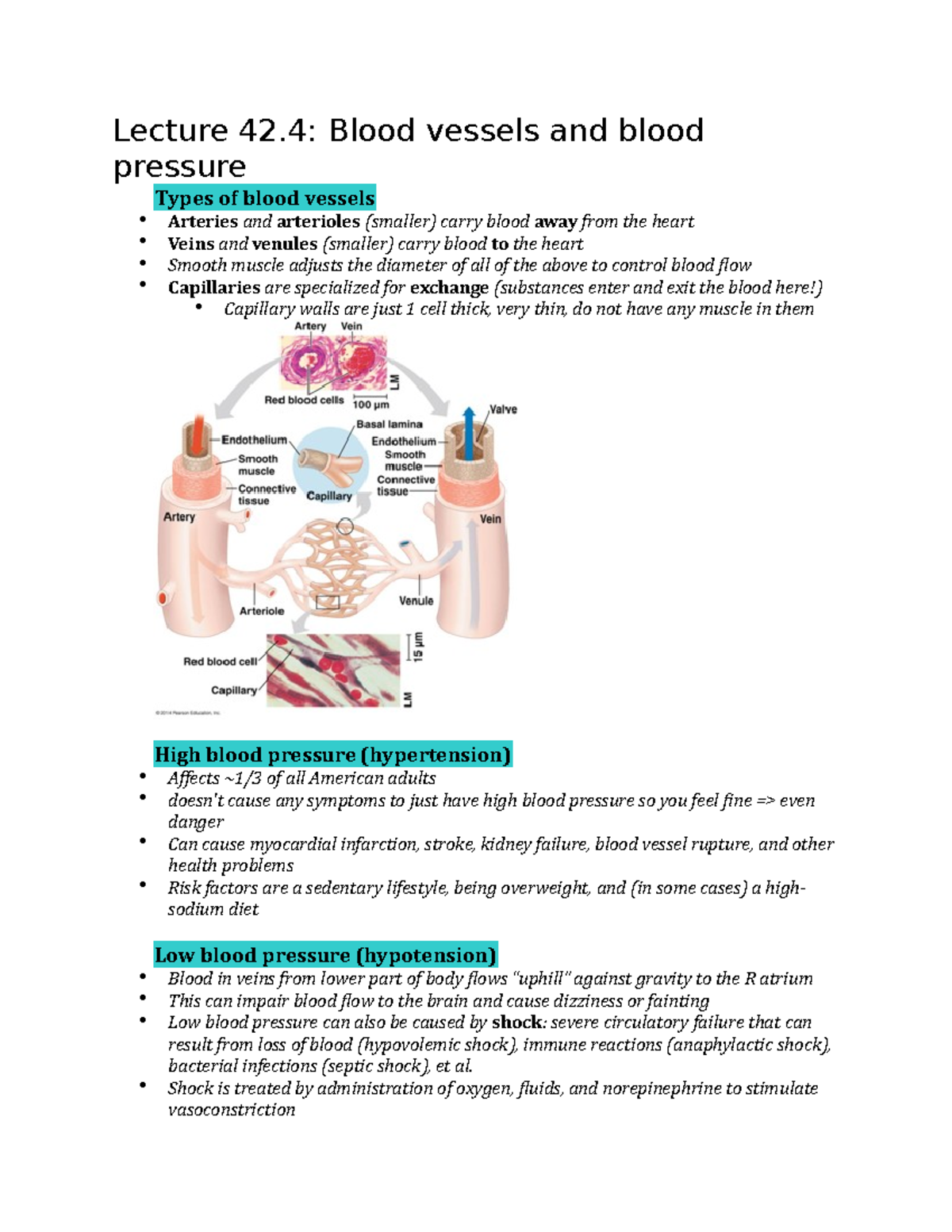 Chapter 42 part 3 - Lecture 42: Blood vessels and blood pressure Types ...