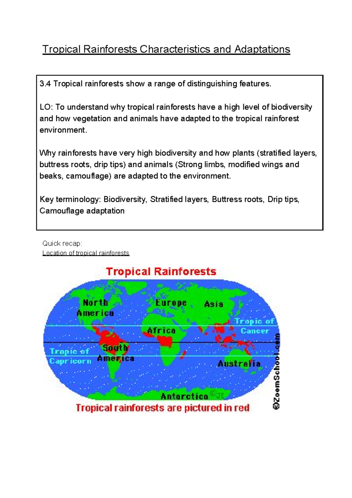 15th May - Tropical Rainforests Characteristics and Adaptations ...
