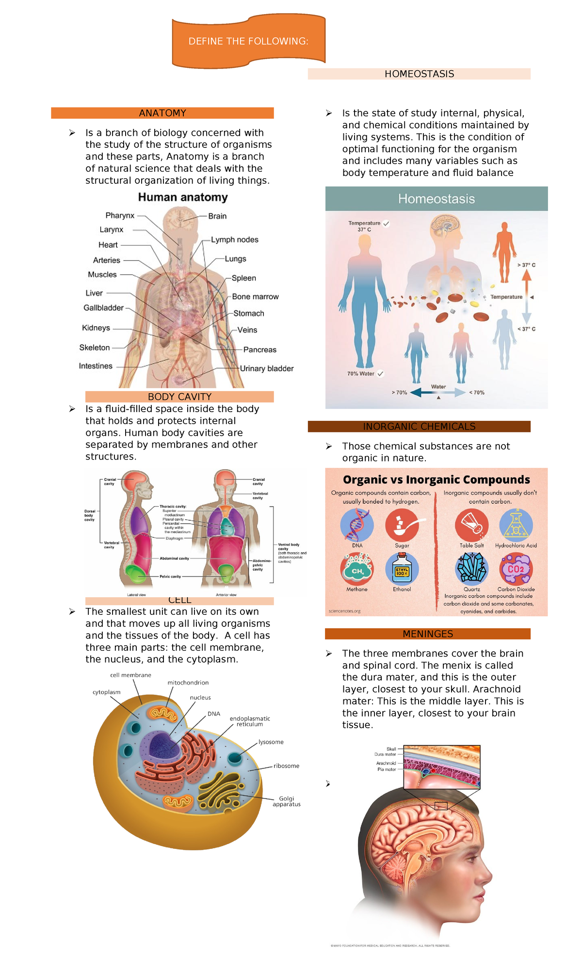 Anatomy 1 - ANATOMY Is a branch of biology concerned with the study of ...