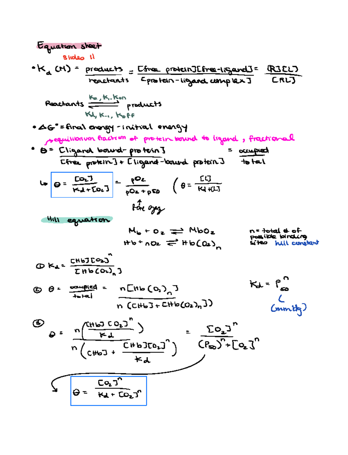 Equation sheet for enzyme portion of the class - BCH2333 - Studocu
