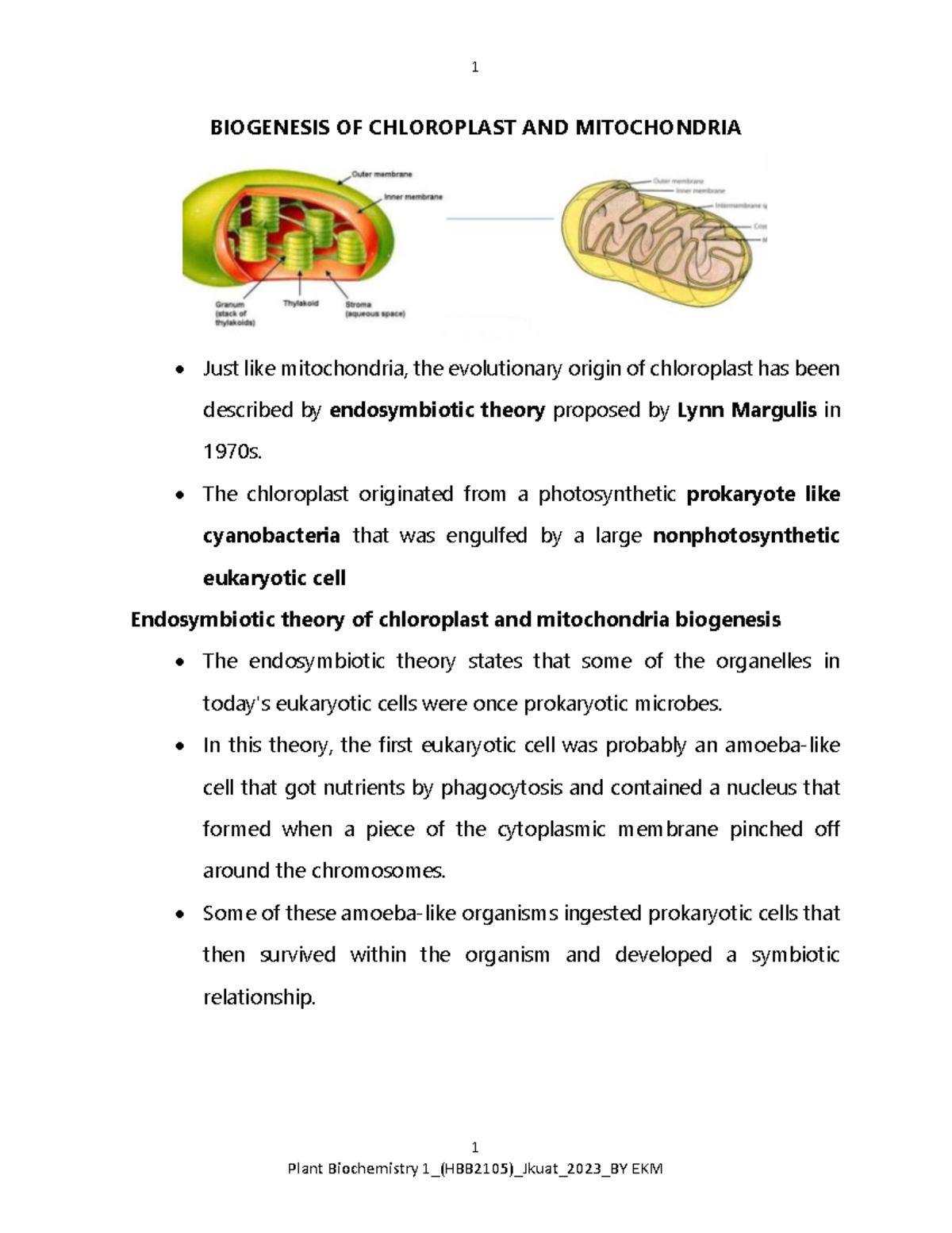 Biogenesis OF Chloroplast, Mitochondria AND Photosythesis Notes Jkuat ...
