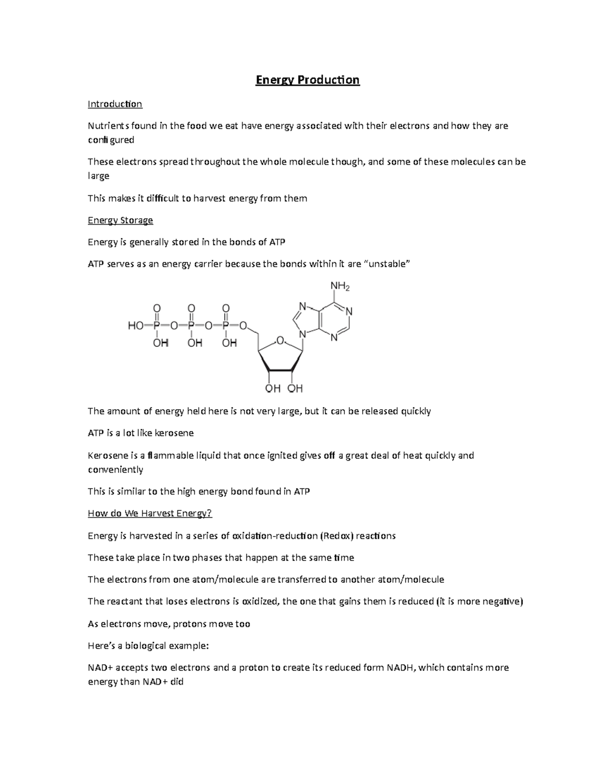 Energy Production-Complete - Energy Production Introduction Nutrients ...