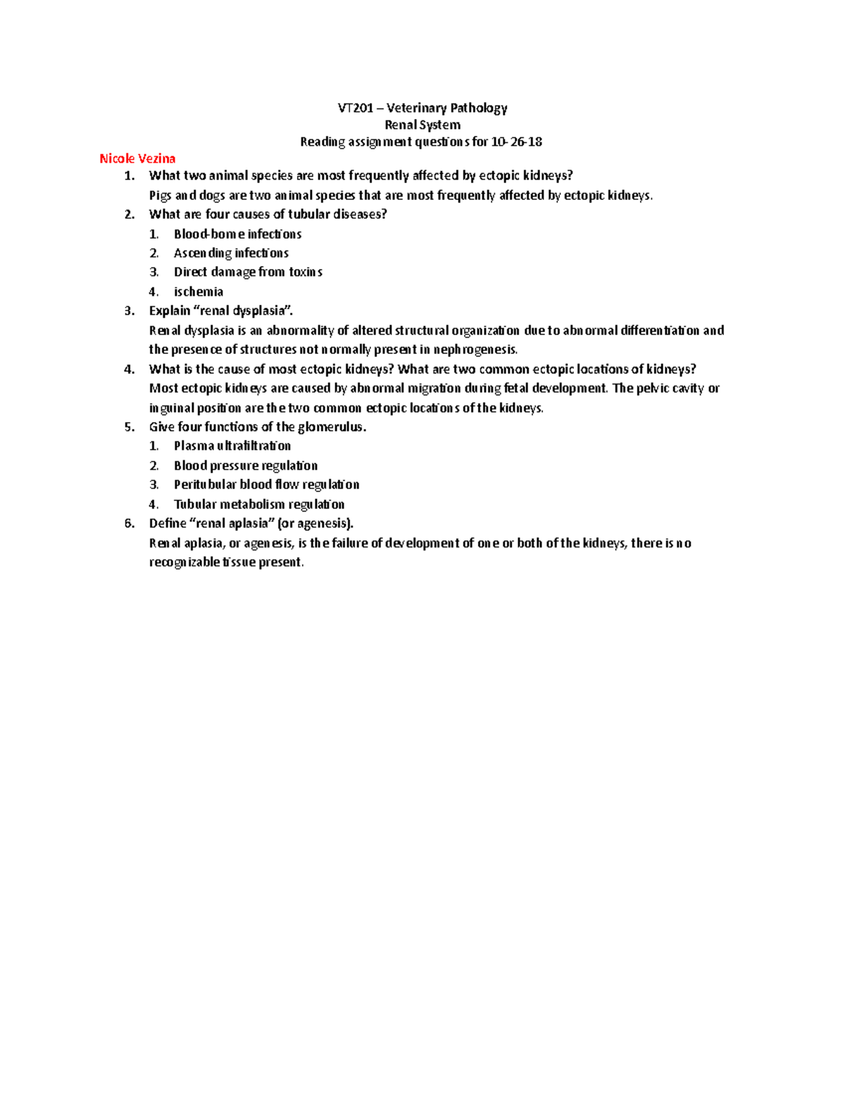 Veterinary Pathology: Renal System 2 - VT201 – Veterinary Pathology ...