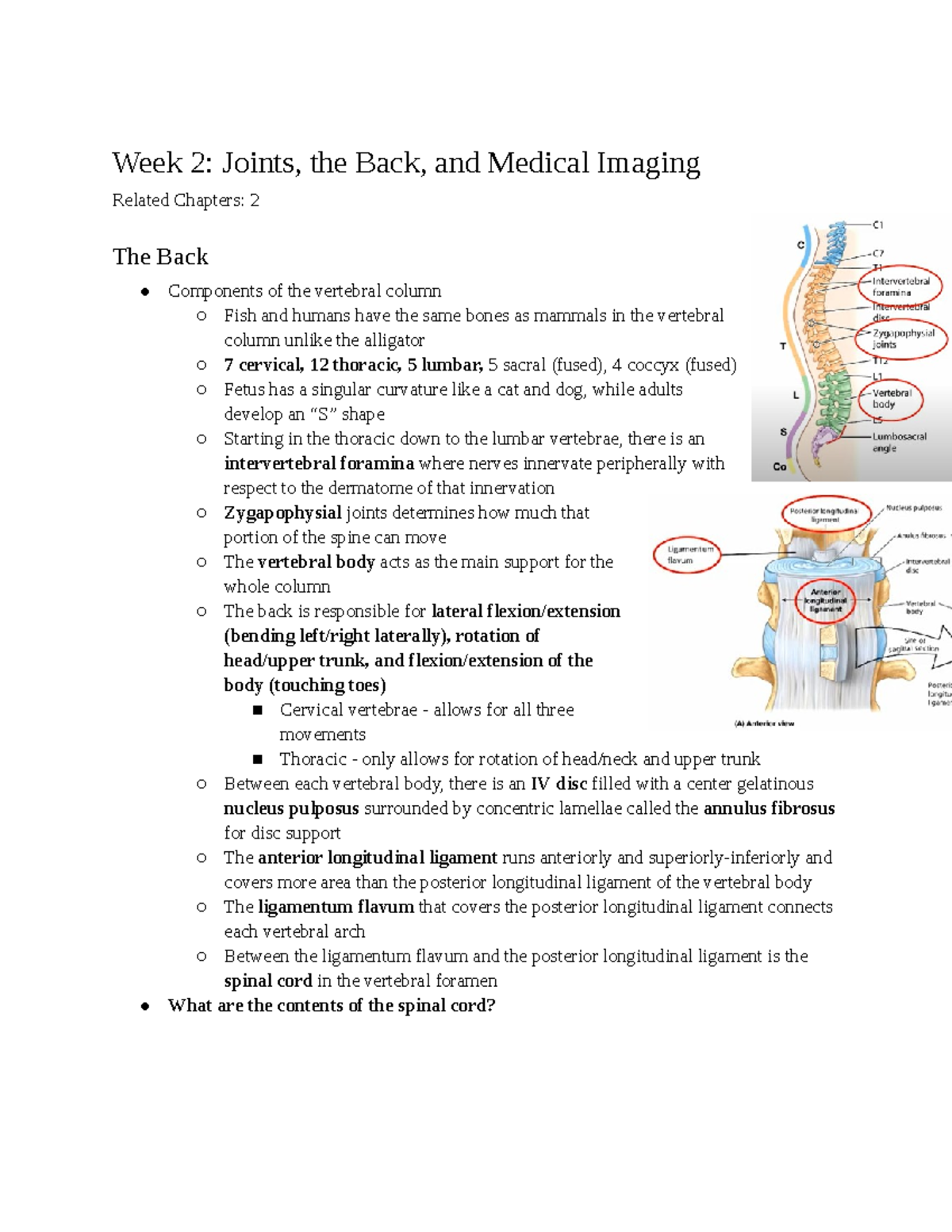 Mammal Lecture Notes Week 2 (Chapter 2) - Week 2: Joints, the Back, and ...