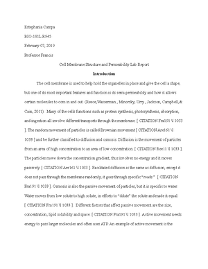 Protein Analysis - Name: Protein Analysis Lab Worksheet Provide your ...
