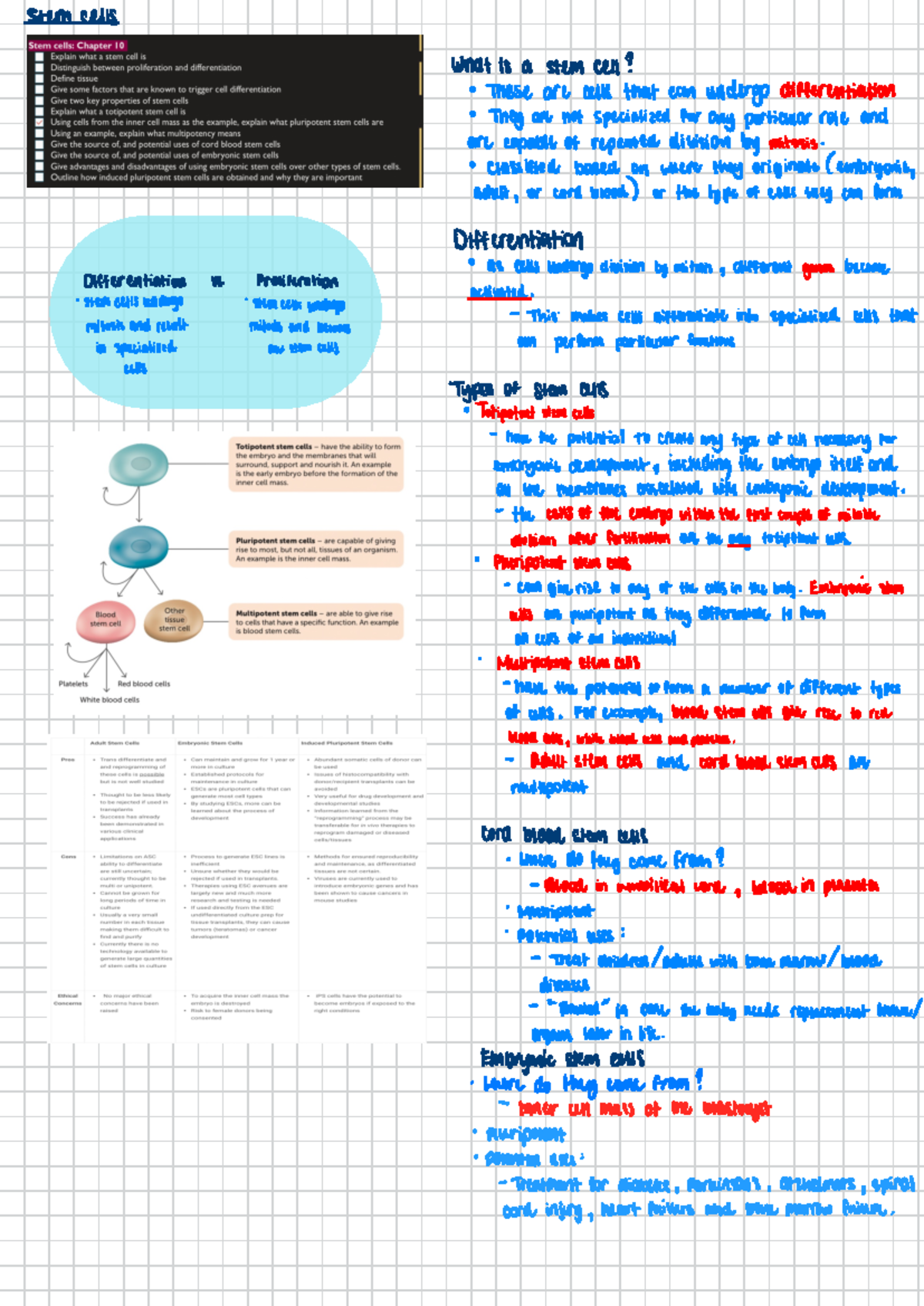 STEM CELL notes - Stem cells what is a stem cell? · These are cells ...