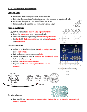 Drawing Bohr-Rutherford Diagrams Worksheet - Drawing Bohr-Rutherford ...