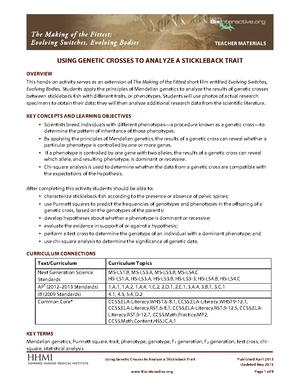 Gel Electrophoresis Virtual Lab - © Science 4 Real Name Gel ...
