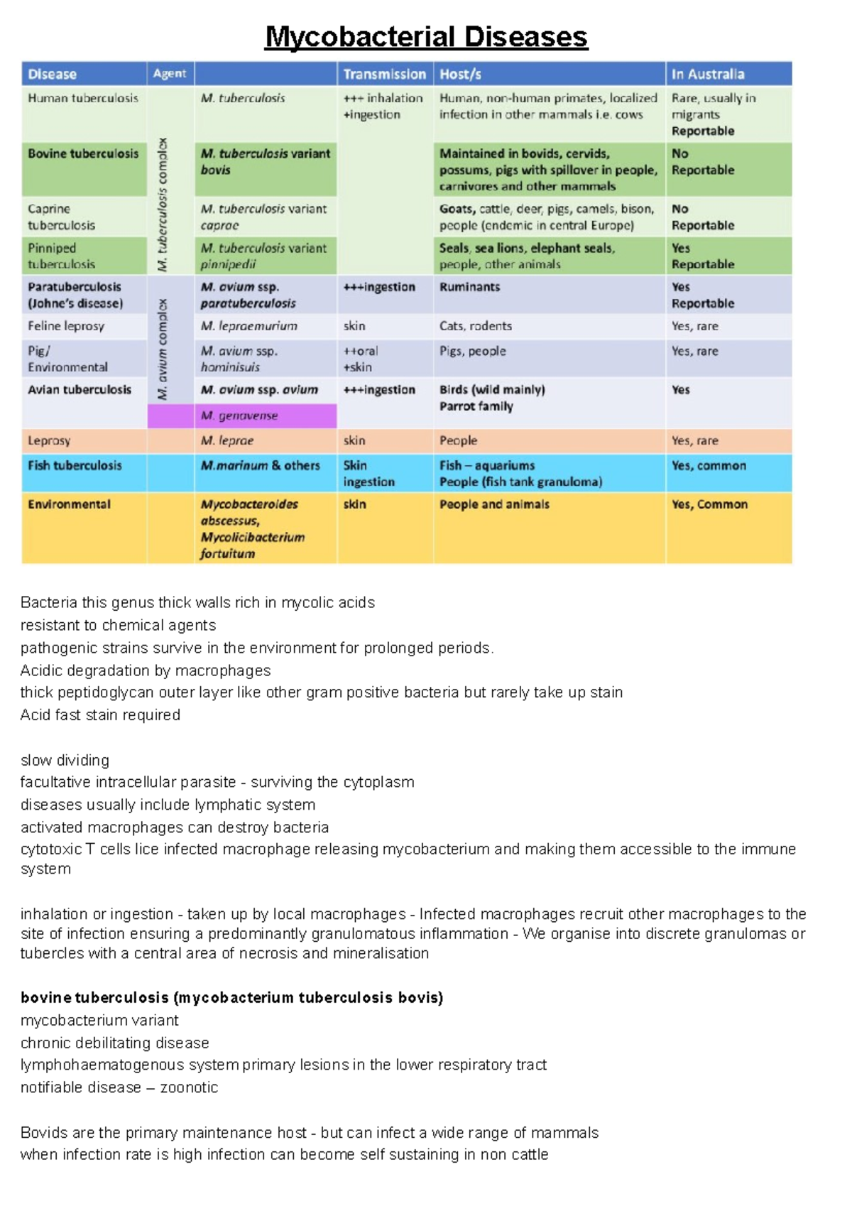 Mycobacterial Diseases - Mycobacterial Diseases Bacteria this genus ...