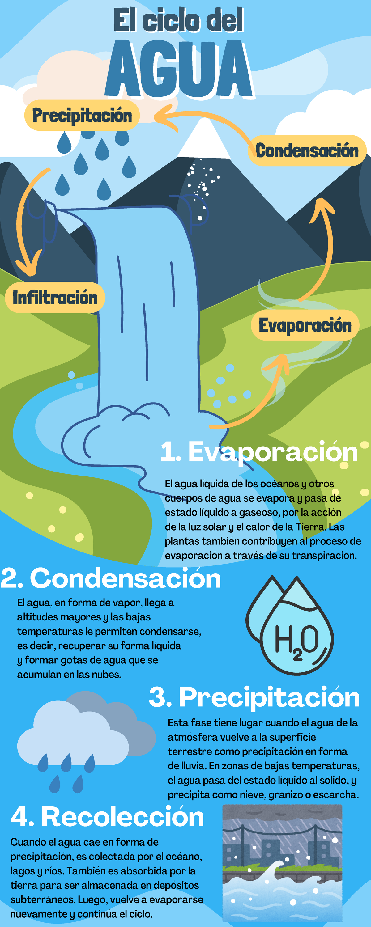 Infografía del ciclo del agua llamativo celeste - 1. Evaporación ...