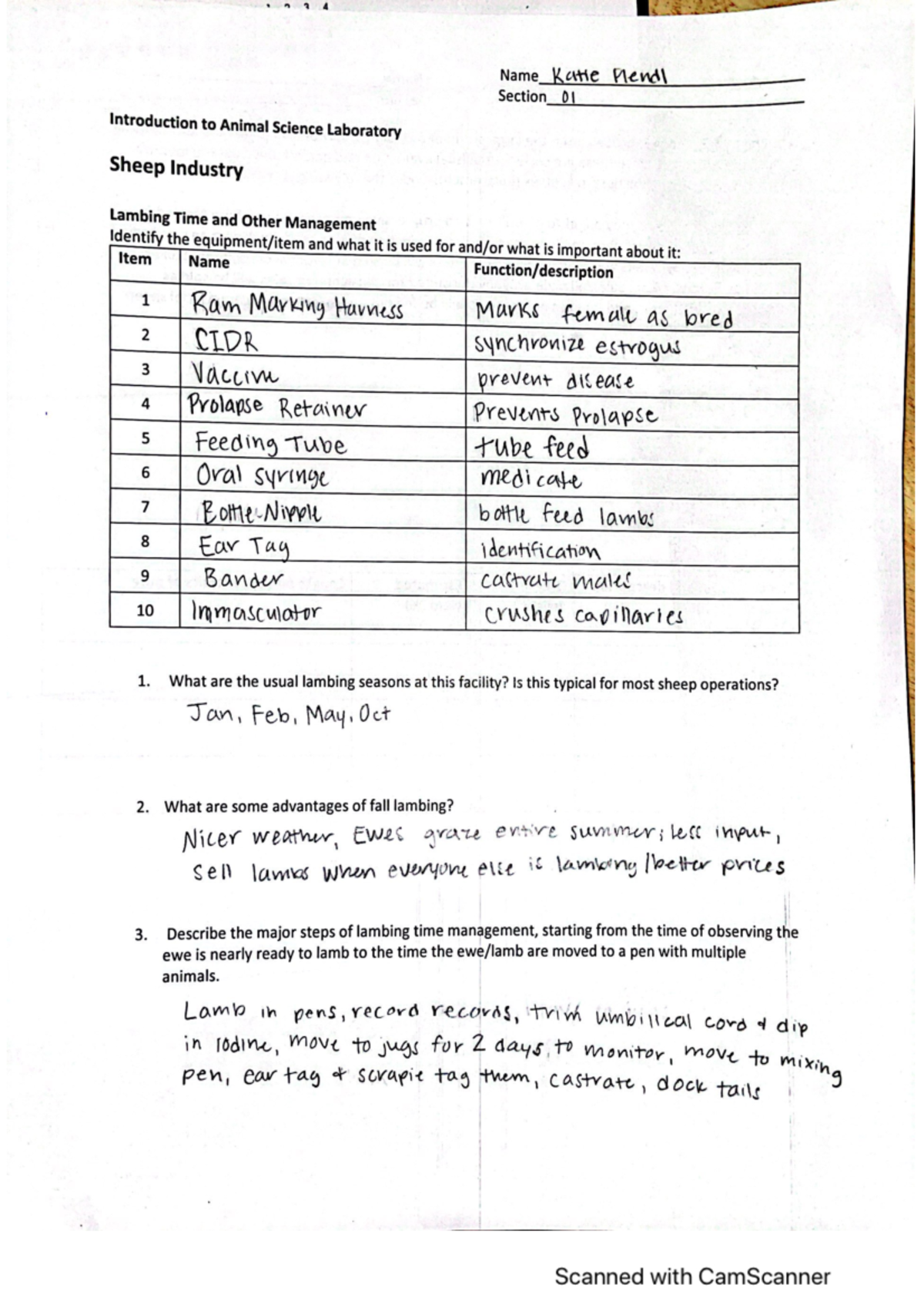 Sheep industry lab - AS 101 - Studocu