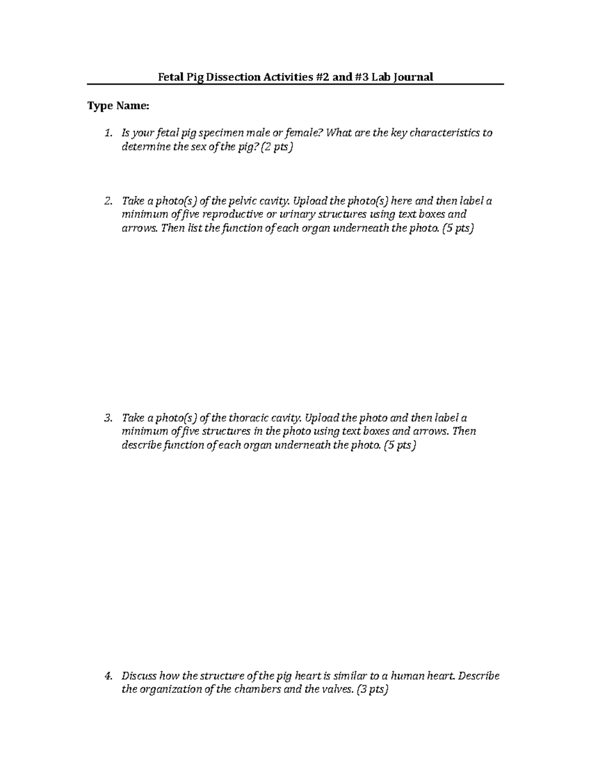 fetal-pig-dissection-activities-2-and-3-lab-journal-aphy-102-1