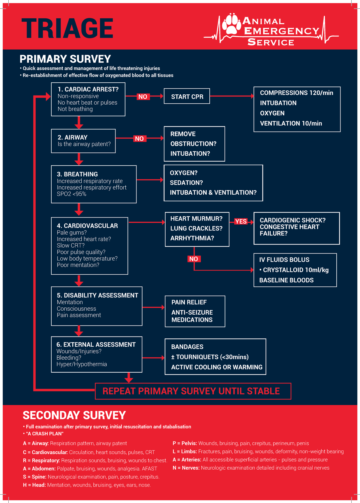 AES Triage Flow-chart 2022 - TRIAGE PRIMARY SURVEY 2. AIRWAY Is the ...