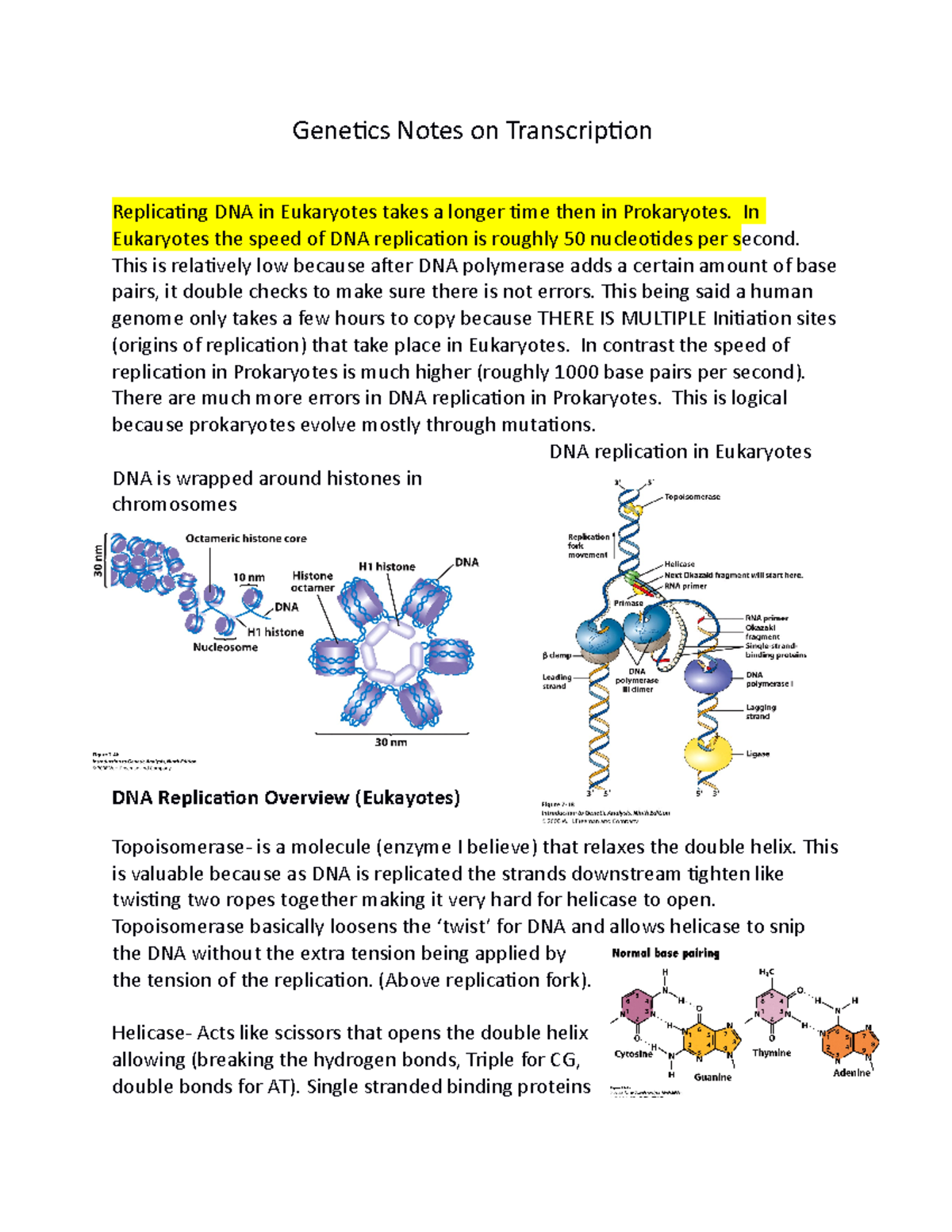Genetics Notes on Transcription and RNA copy 1 - Genetics Notes on ...