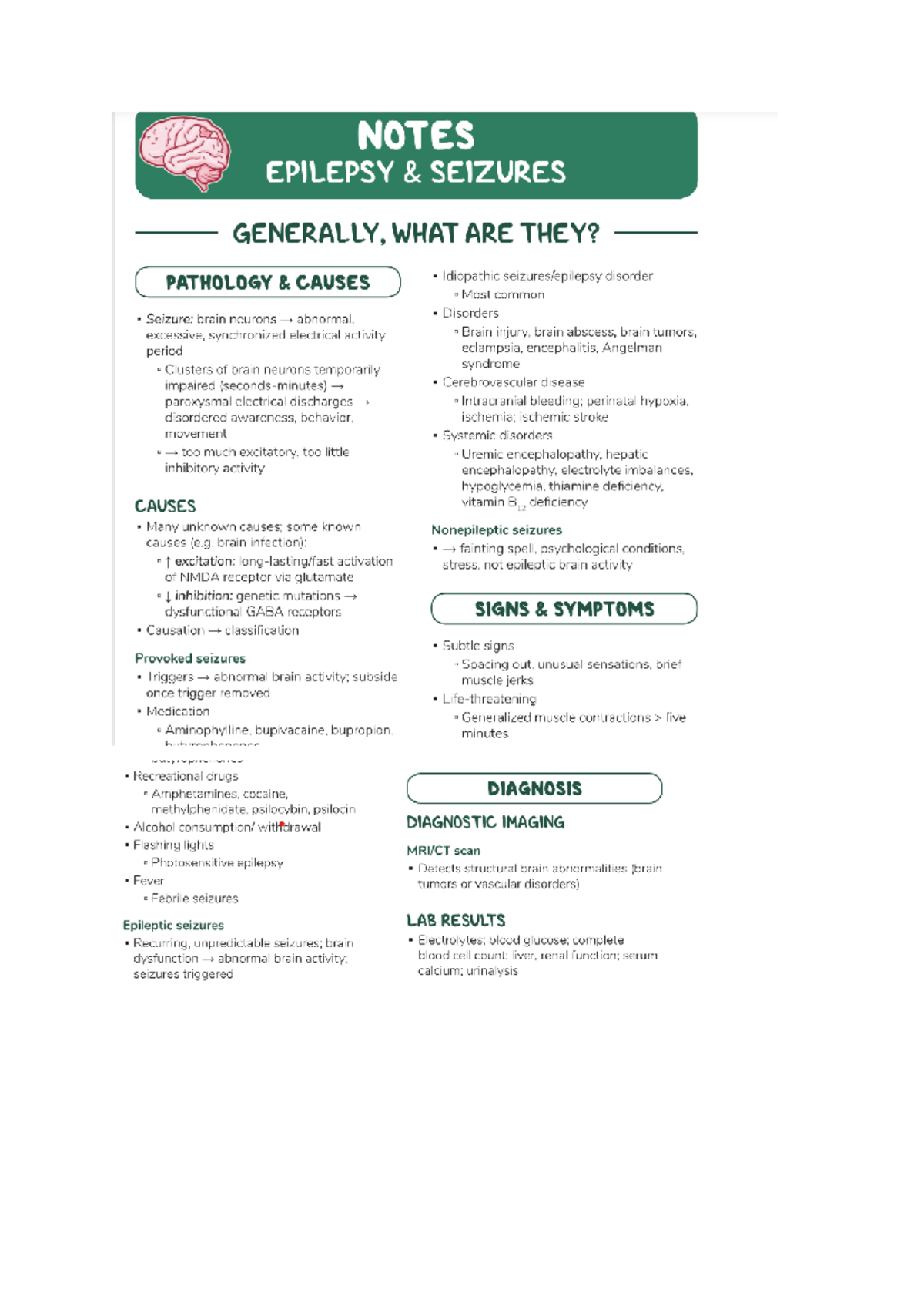 Epilepsy notes - Clinical Psychology - Studocu