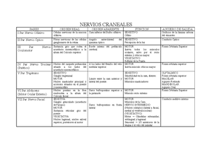 Región Maseterina - REGIÓN MASETERINA FORMA Ubicada en la parte lateral ...