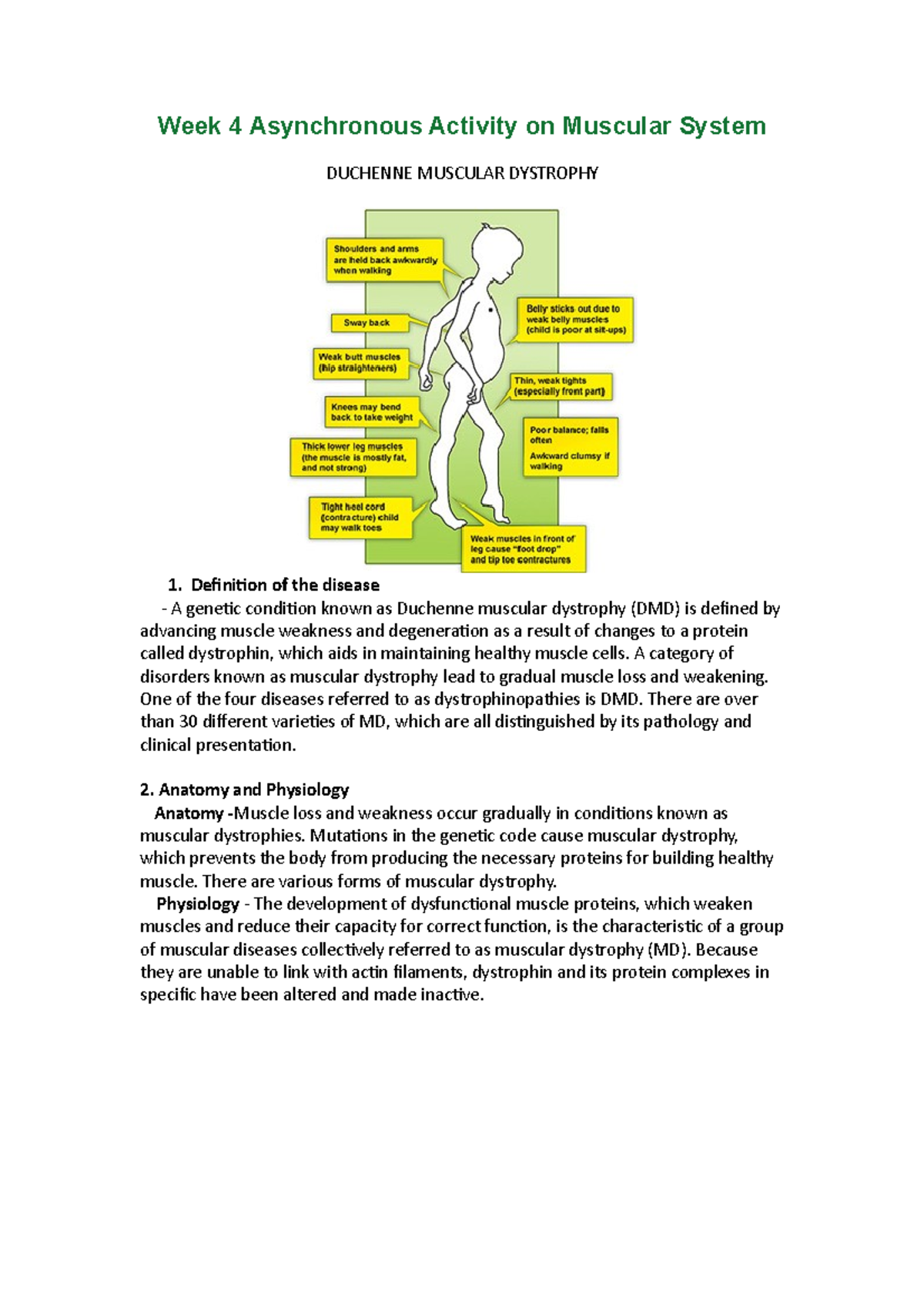 Week 4 Asynchronous Activity on Muscular System Roxas Joaquin - Week 4 ...