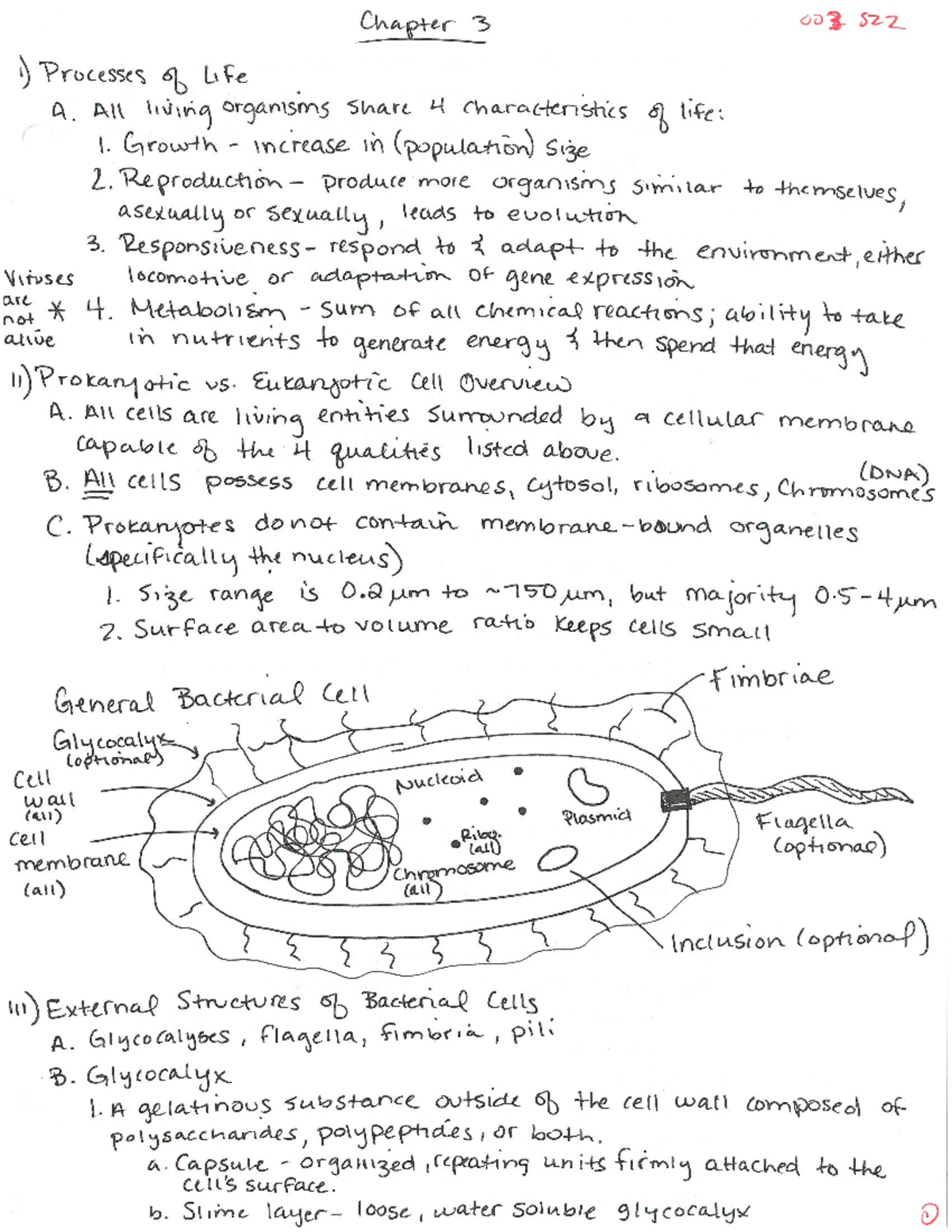 Ch 3 Lecture Notes - Chapter 3 003 522 1) Processes of Life A. All ...
