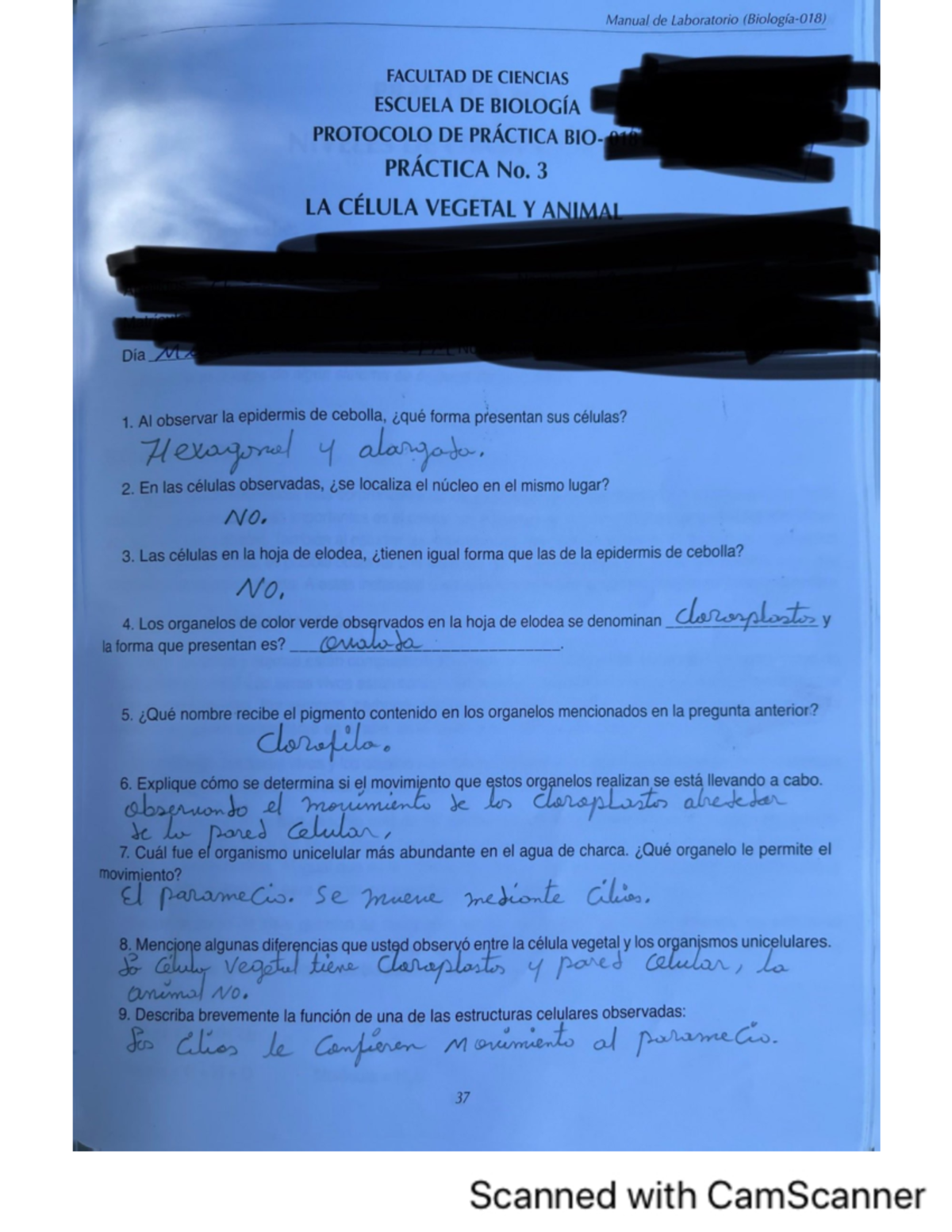 Pract 3 lab de biologia uasd - LAB Biología Básica - Studocu