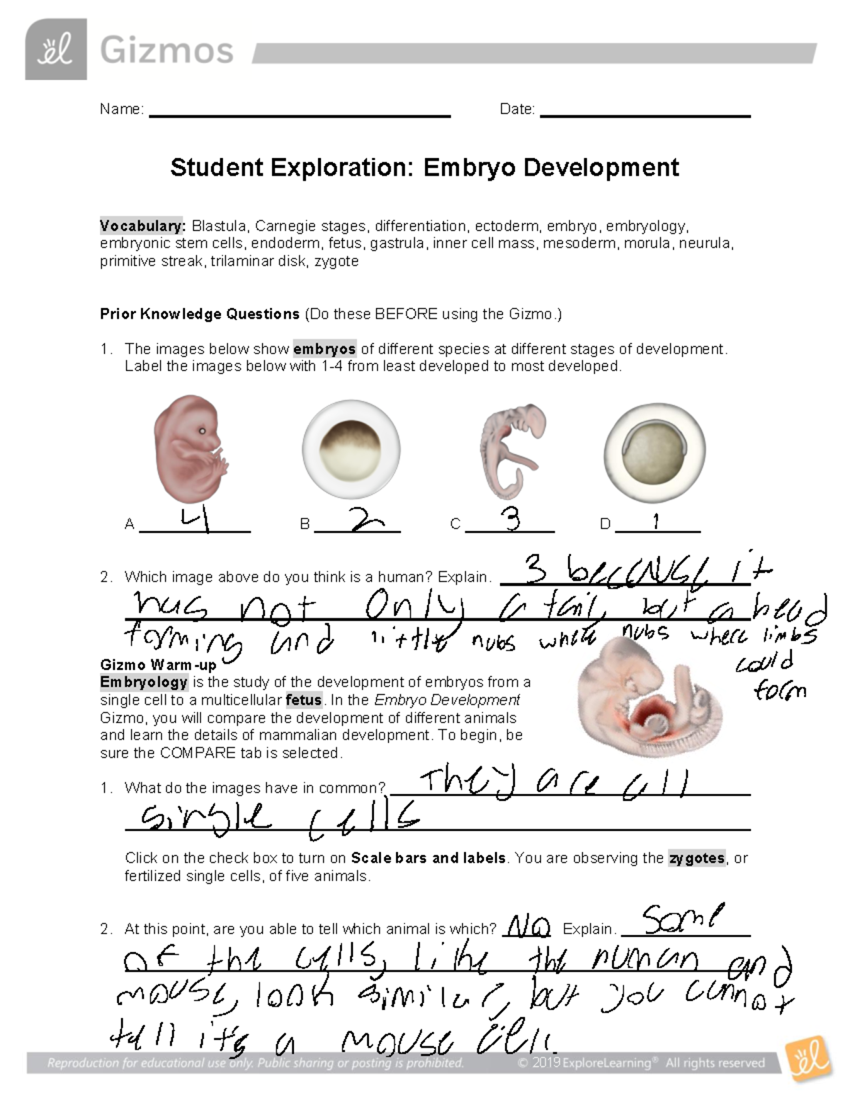 Download group 28739 id9781475 - 2019 Name: Date: Student Exploration ...