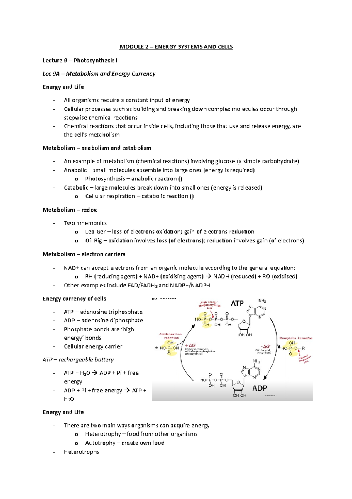 BIOL Module 2 - Energy Systems and Cells Notes - MODULE 2 – ENERGY ...